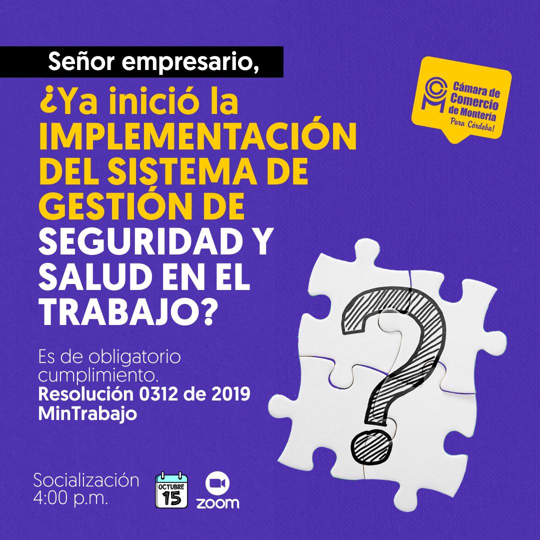 Programa de Mejoramiento e Implementación del sistema de gestión de Seguridad y salud en el ...